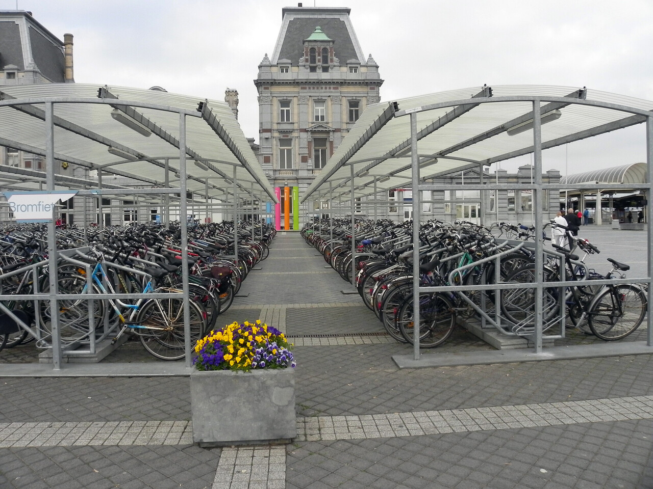 Contacts – Pro Velo