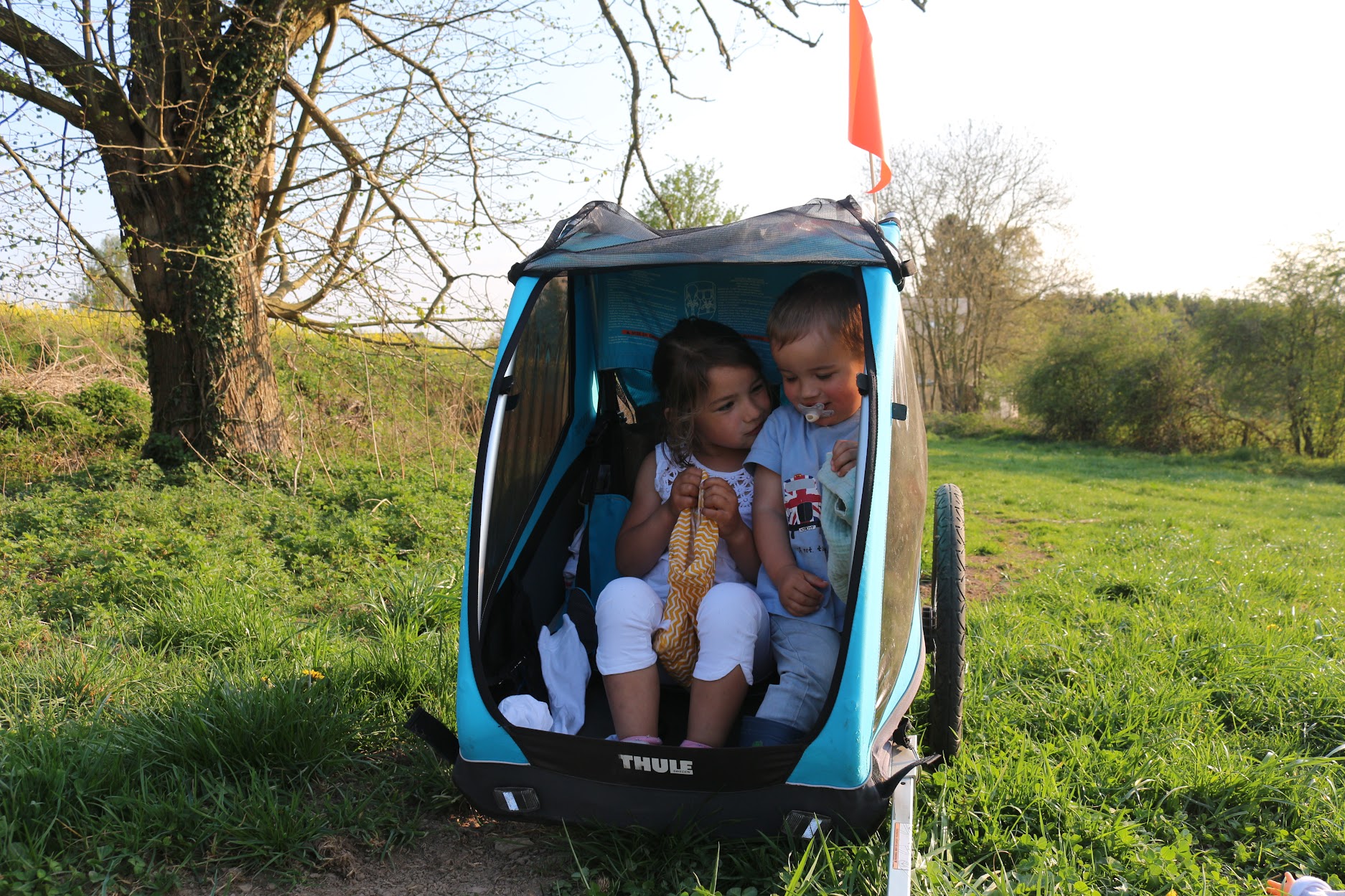 Les remorques vélos pour enfants, nos conseils avant achat – Pro Velo