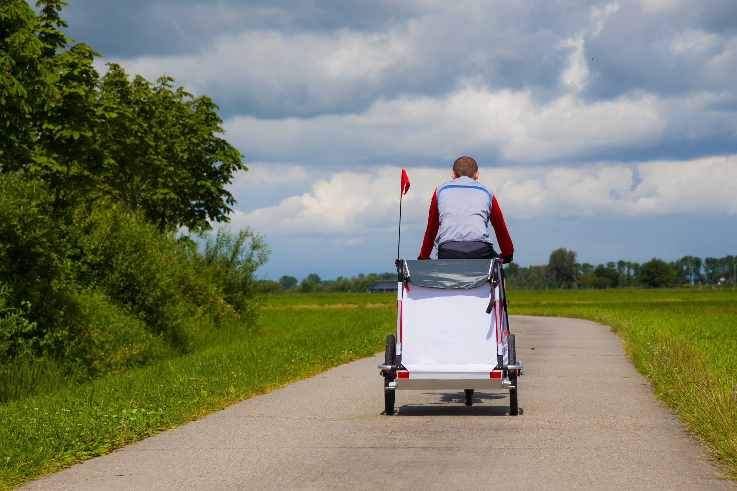 Les remorques vélos pour enfants, nos conseils avant achat – Pro Velo