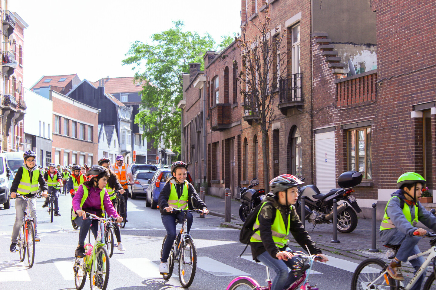 L’avenir du Brevet du Cycliste en Wallonie (2021-2022) – Professionnels